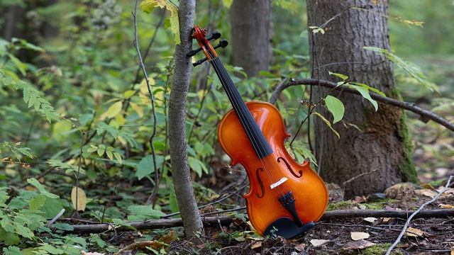 Классическая музыка на скрипке. Современная классика