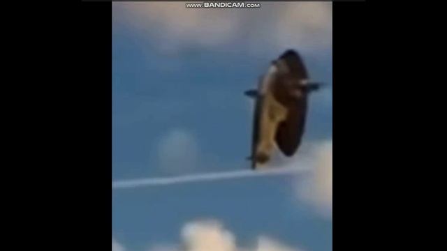 Самый страшный и необычный НЛО