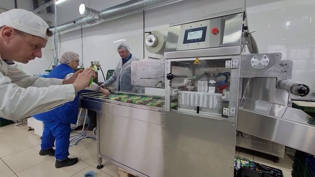 Упаковка сыра на трейсилере РОСТ-ТР1