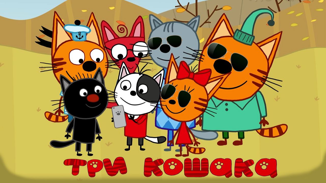 МУД Три Кошака Съёмка видео запрещена