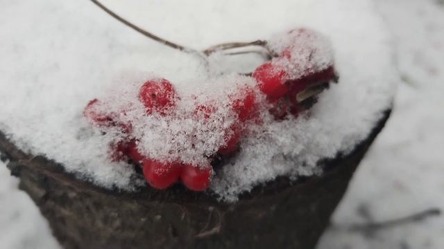 УЗОР ЛОЖИТСЯ ПО РАЗНОМУ🤔 КАК ХОРОШО ЧТО ВСЕМ ПОНРАВИЛОСЬ 🙃🧶❤️