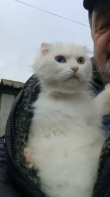 Мотильда, Каштанка и Рекс — мои лучшие друзья ❤️🐾