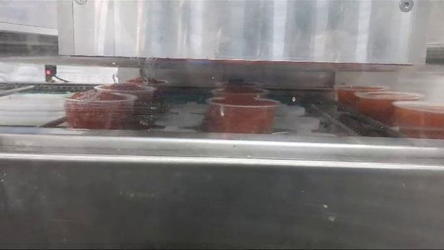 Упаковка икры на трейсилере РОСТ-ТР1