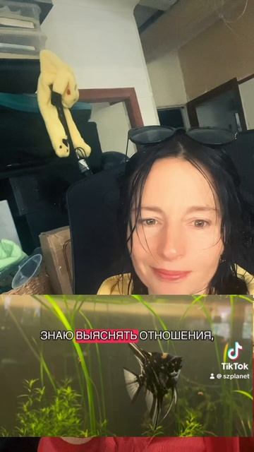 Минусы онлайн бизнеса. Растения за 5 долларов кого-то не устраивают 🙈🤣