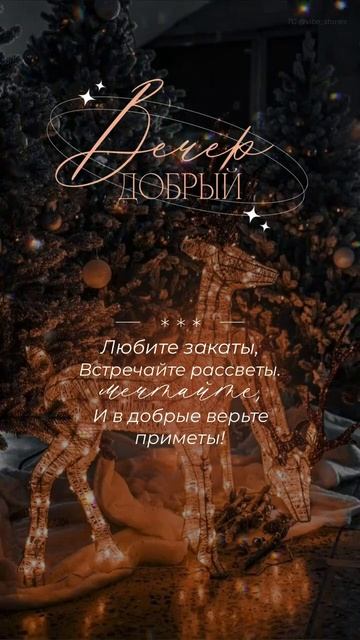 Добрый вечер