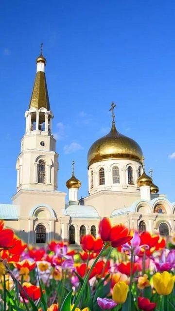 Душевный лекарь#Церковь#shortvideo#shorts#Молитва#Православие