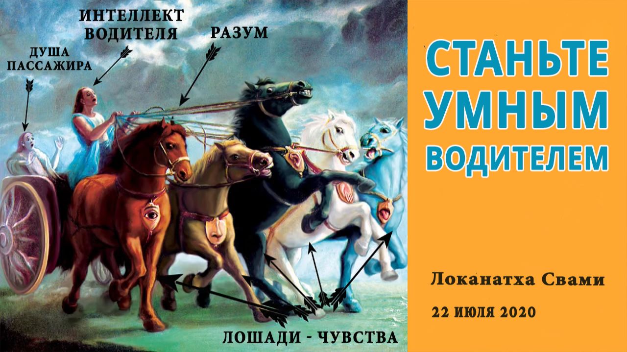 Станьте умным водителем