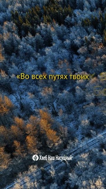 В каких решениях вам... | Божье Слово для вас