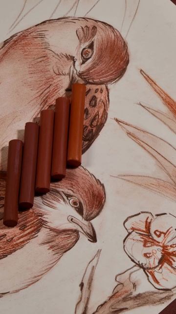 Цвет года 2026 от LOYMINA Group