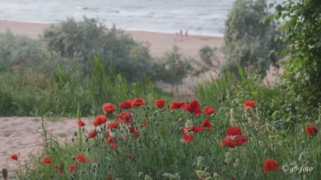 Пересыпь отпуск 2025 на Азовском море