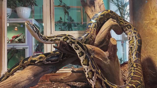 Зоопарк "Элафион"