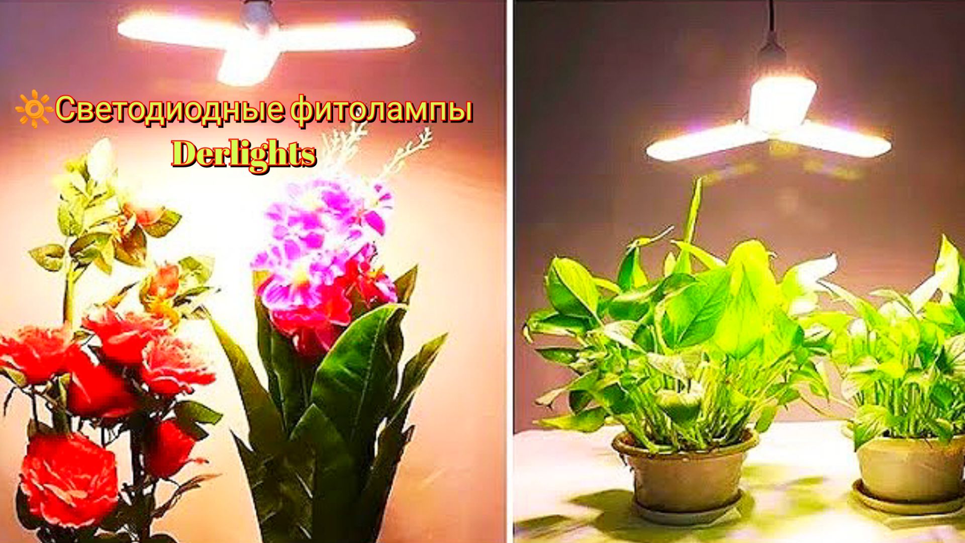 🔆Светодиодные фитолампы Derlights / LED phytolamps Derlights