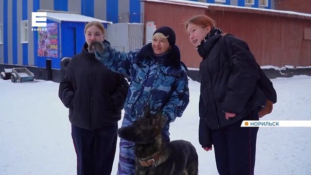Телеканал Енисей, Для норильских старшеклассников провели погружение в мир особенных профессий