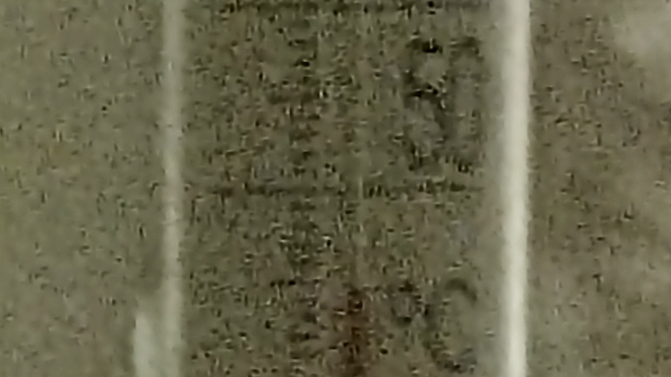 Якутск. -55°С 16 декабря 2025г.