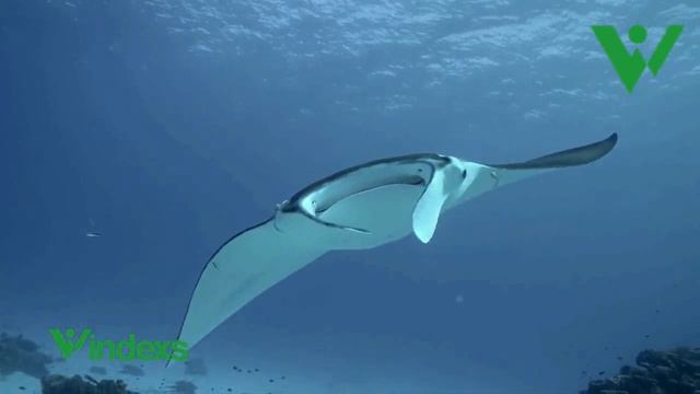 Улучшает концентрацию (мозг учится не убегать за каждой мыслью)