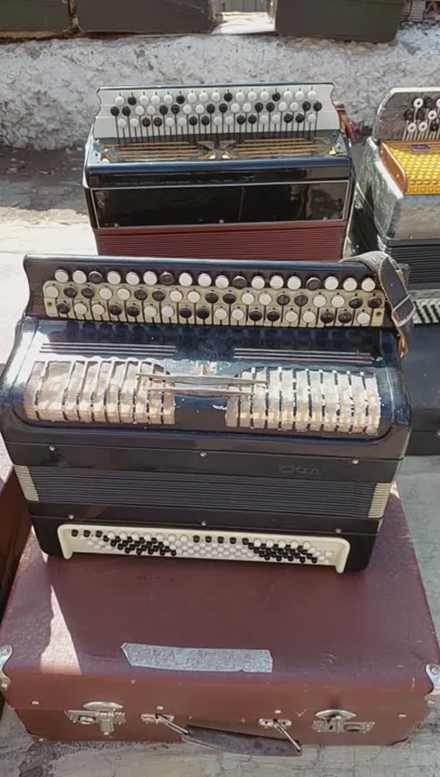 Баяны на птичьем рынке.Самара