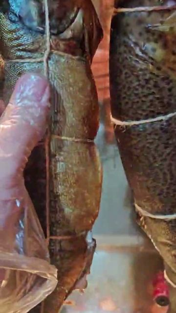 Копченая красная рыба - вот это вкус! #коптильня #fish #еда