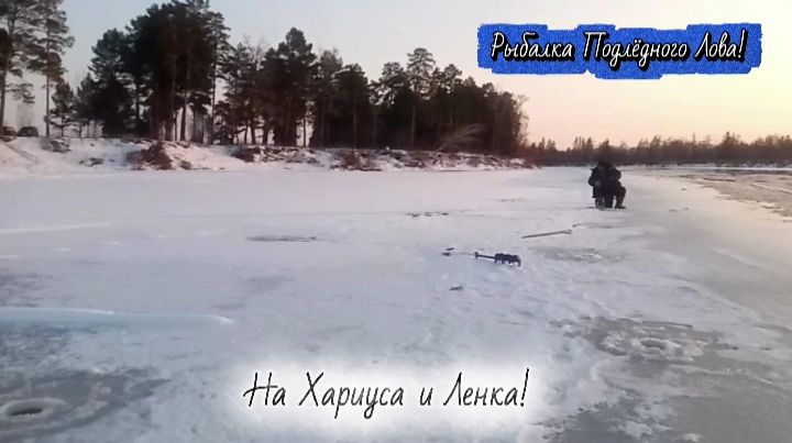 "Клëвая" Рыбалка на Хариуса и Ленка 2025/2026!!!