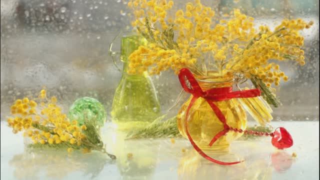 A.Vivaldi - Concerto for lute in D Major, RV 93, II  Largo