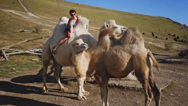 Кабардинка и Геленджик 🏕 Отдых с экскурсиями