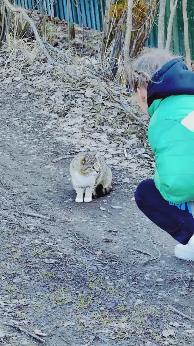 Сергей и Алиса | История двух сердец | Дачные видеозарисовки | Обитатели дачи | Часть 1