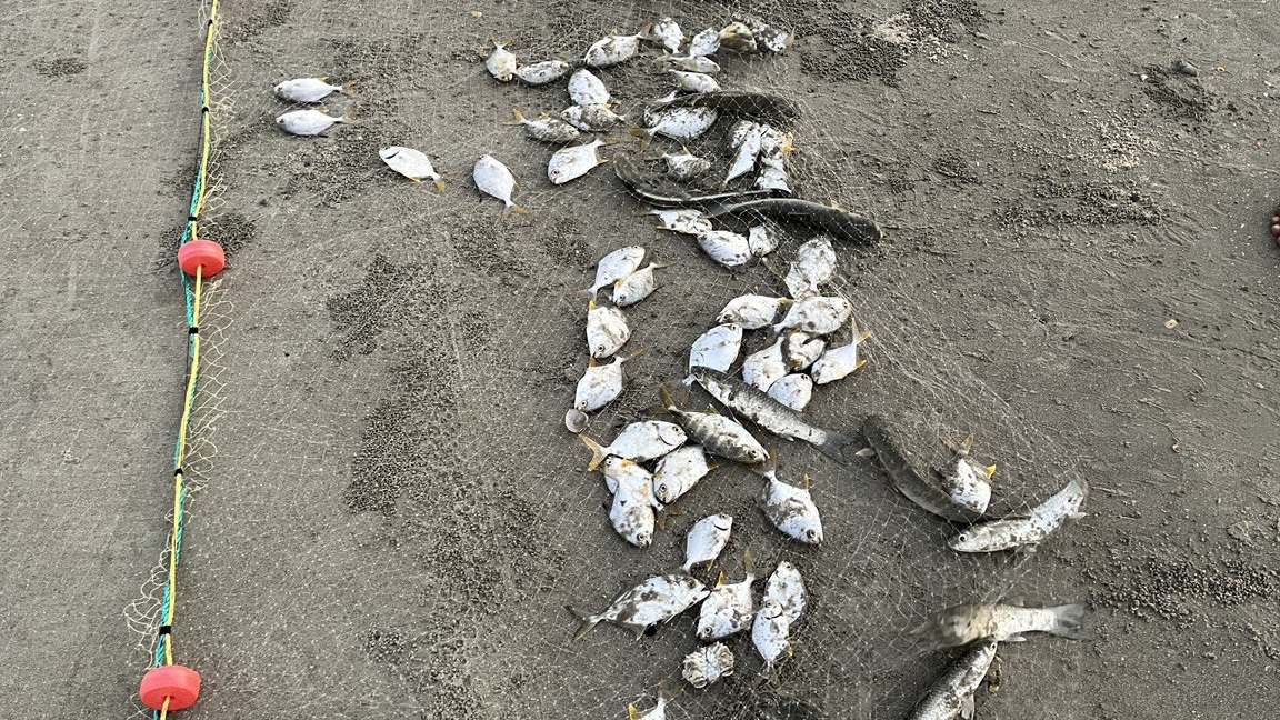 Ловля рыбы сетями на закате. Варка. Южный Гоа