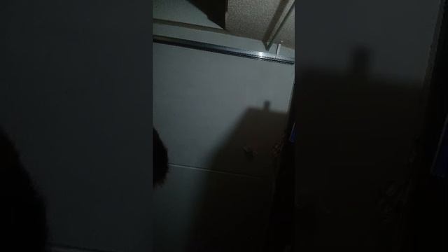 geometry dash stream❤