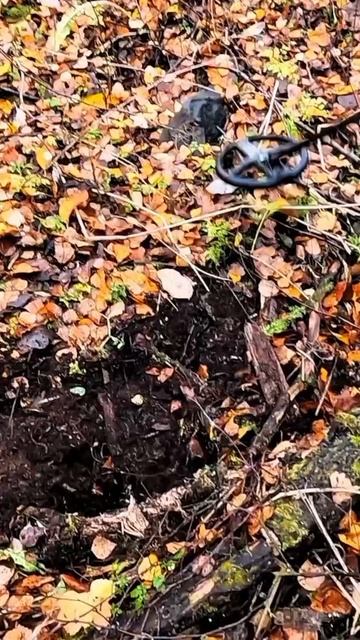 Сигнал за сигналом!