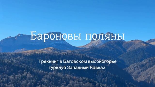 Бароновы поляны