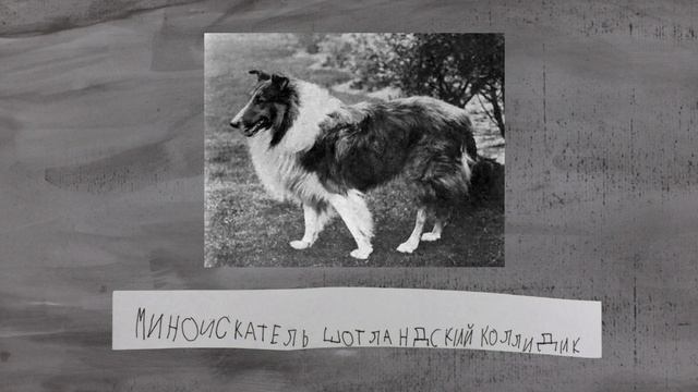 Маленькие герои большой войны_Дет.сад Солнечый ЛУЧ ул.Шейнкмана, 88_Пчелиный рой г.Екатеринбург 2025