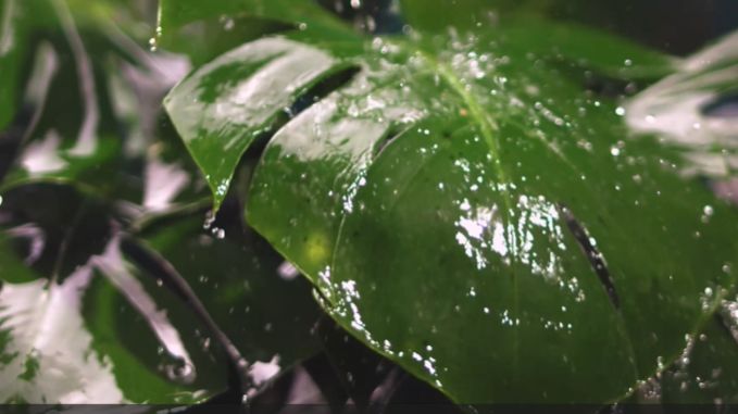 Тишина в движении • Длинная фоновая музыка (1 час) для работы, учебы и глубокого отдыха