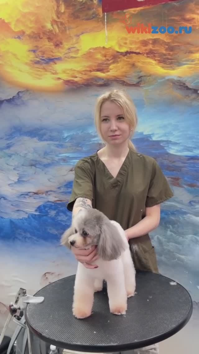 Итоги года от Елены Барковской