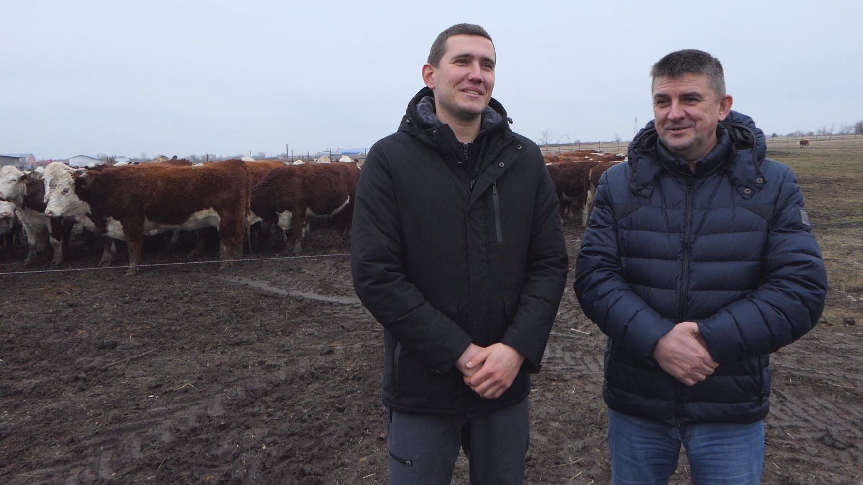 Животноводство - новое направление в КХ «Артёмово»