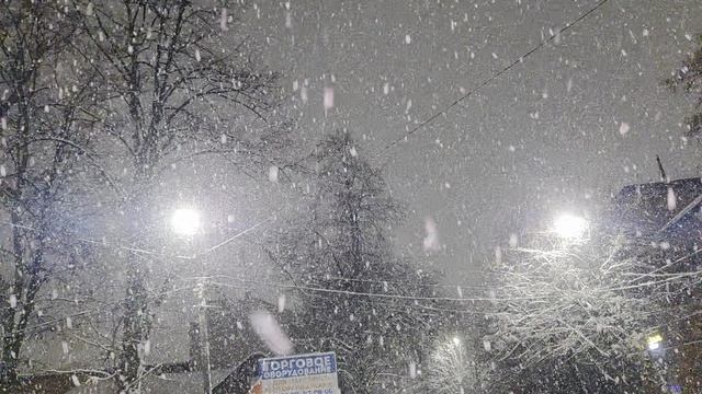 Белым Бело. Владикавказ 2025 снег