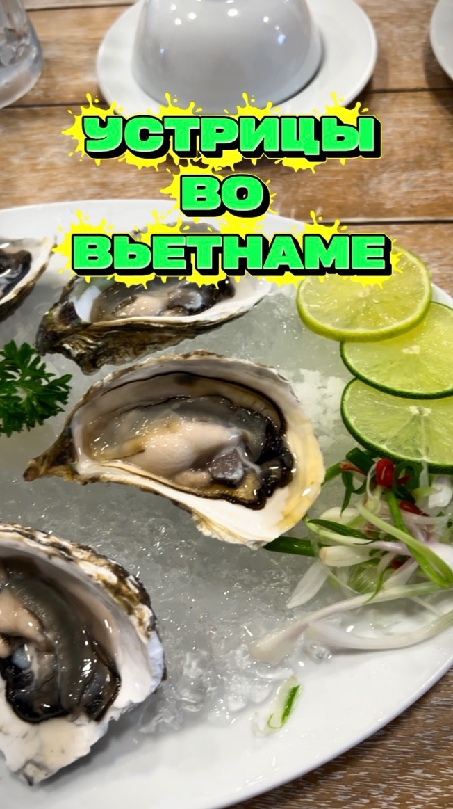 Пробую устрицы 🦪