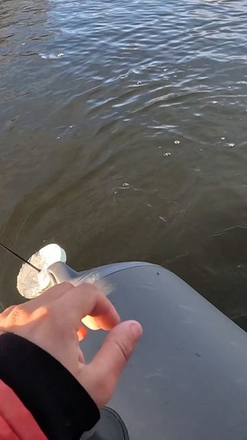 ПОСМОТРИ ЧТО ОНА ТВОРИТ с кружком