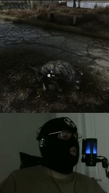 Мой спутник - ВОЛК