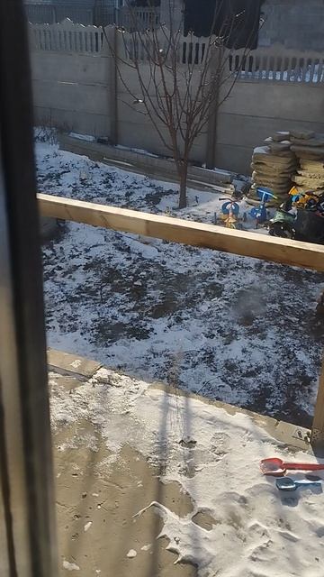 у нас Воробьи на улице устроили засаду у нас во дворе.mp4