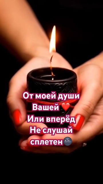 ❤️Иди вперёд ❗️Не слушай сплетен 🐍 #таро #tarot #стихи #shorts