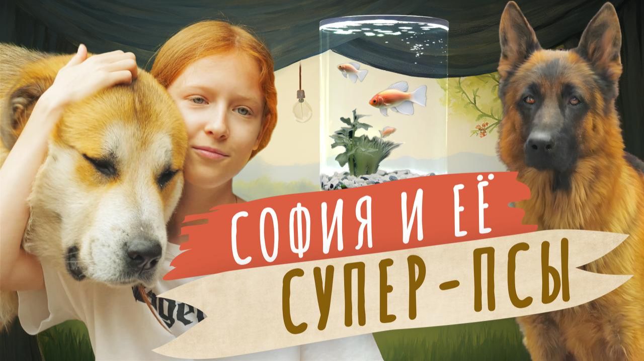 София и её супер-псы: немецкая овчарка и пиренейская горная. Мой питомец