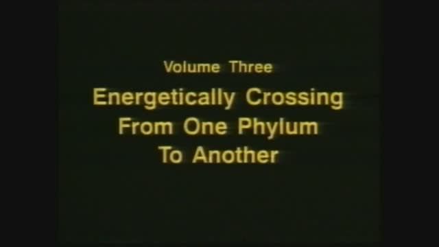 Энергетический переход от одного биологического типа к другому
