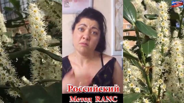 № 1297. О лечении Седалищного нерва Методом RANC.