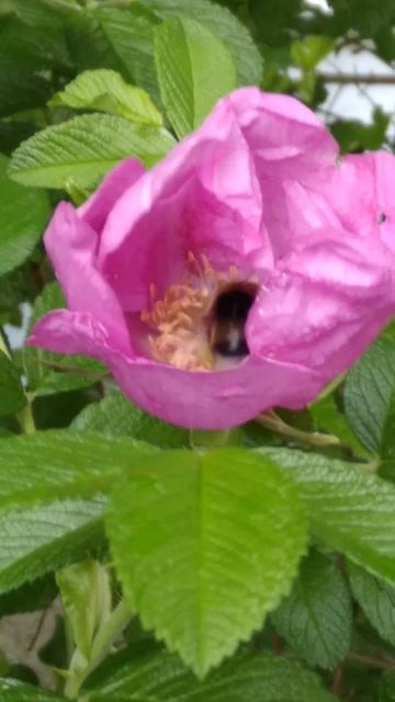 vk_20210611_180258_1