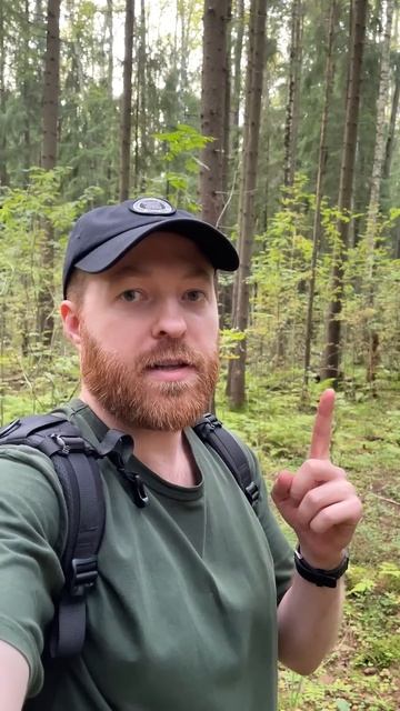 Ориентирование в лесу с помощью одного пальца  #shorts #юмор #природа #выживание