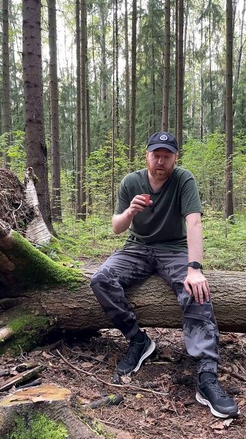 Кружка с чаем может спасти вам жизнь #shorts #юмор #выживание #природа