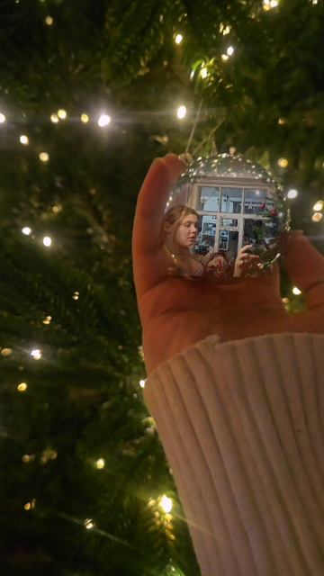 Осталось 14 дней до Нового года🎄