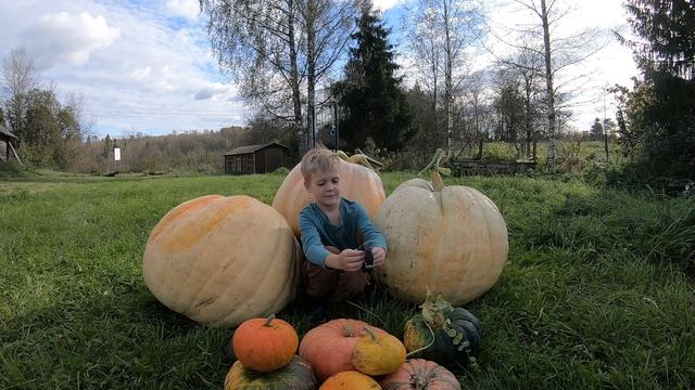 сэлфи 2 2025 окт