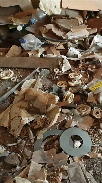 В этой школе больше не учатся дети #школа #заброшка #shorts