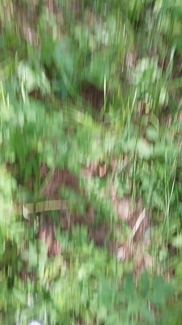 Попроведовал спонтанно ЗЕМЛЯНКУ летом этого года ☀ 26.06.25