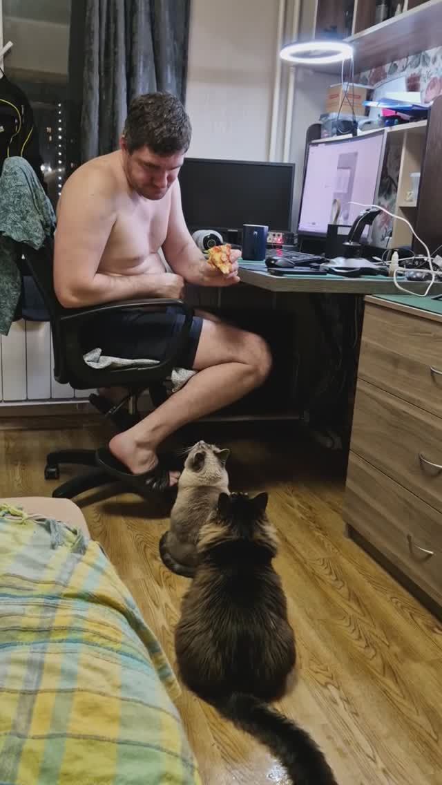 Дрессировка